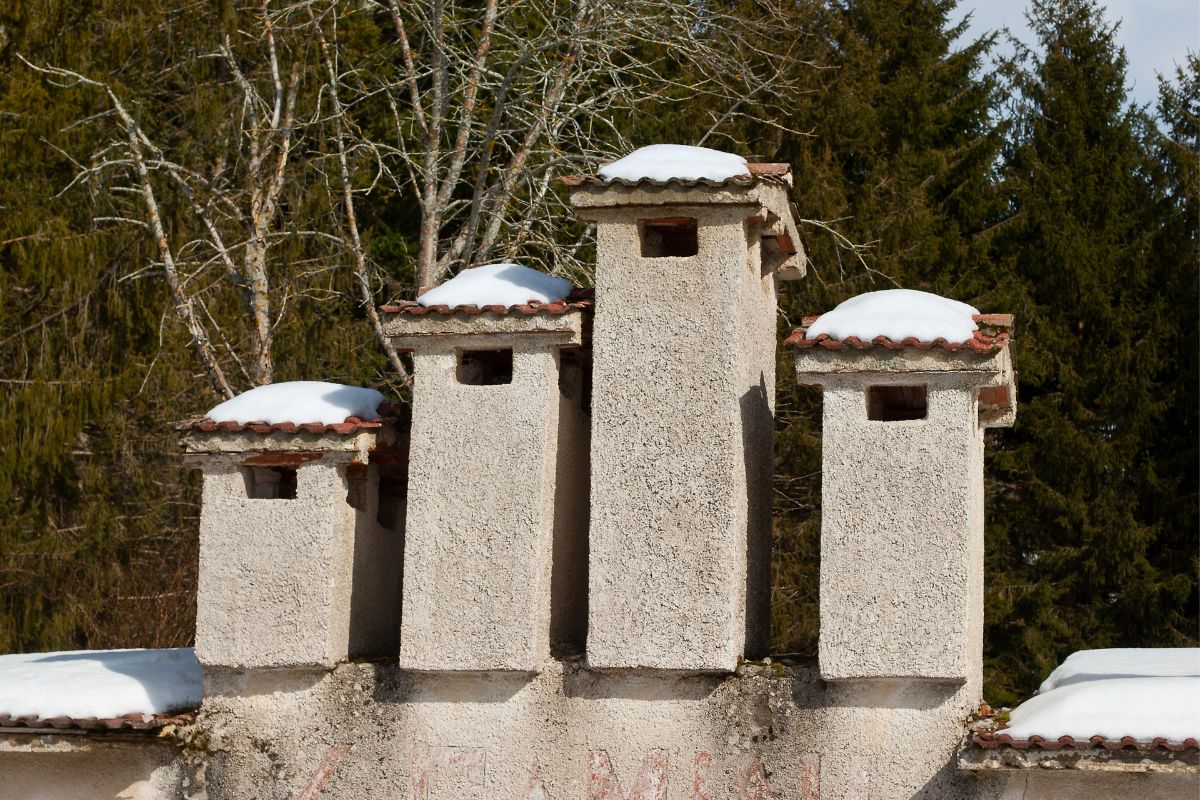 Nidi calabrone nella canna fumaria, come rimuoverli - Autospurgo Roma ...